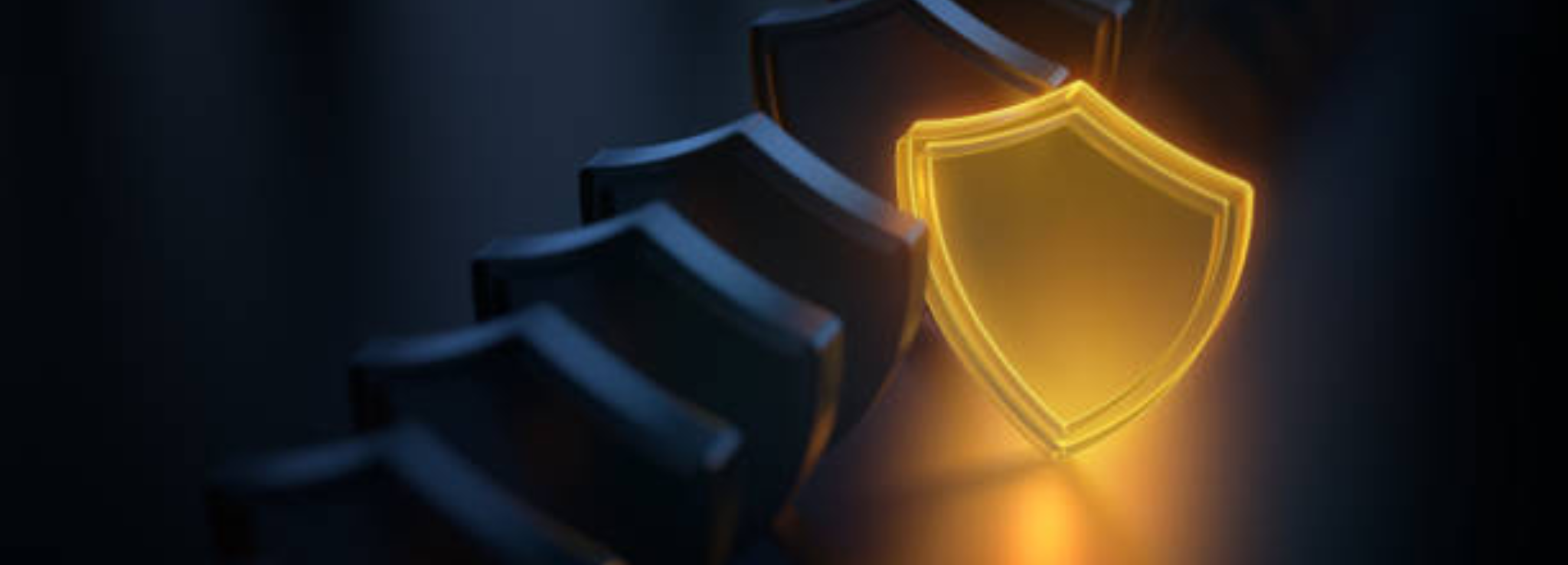 Fraud Reporting Portal - ZIMSWITCH